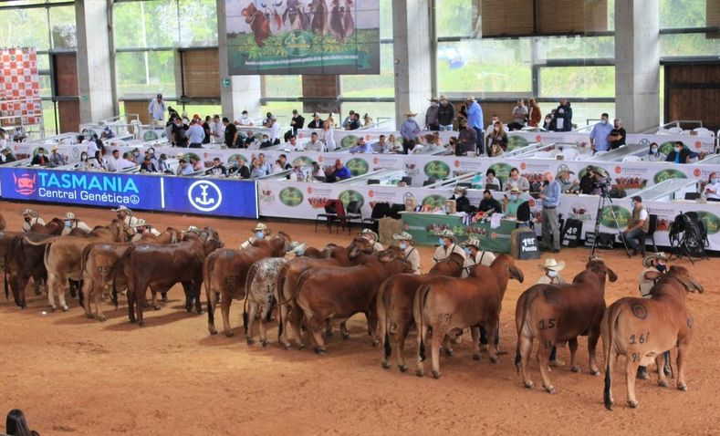 Vuelve la Feria Nacional Cebú - El Meridiano